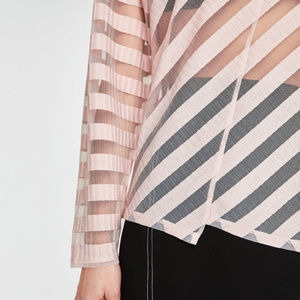 Zara | Tops | Zara Sheer Sheer Tshirt Blouse With Stripes S | Poshmark